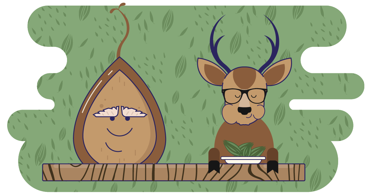 Warm Deer Up with Hancock's Spring & Summer Food Plot Seed Mix ...