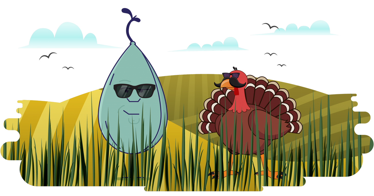 How to Grow A Fantastic Food Plot Ready for Turkey Season ...