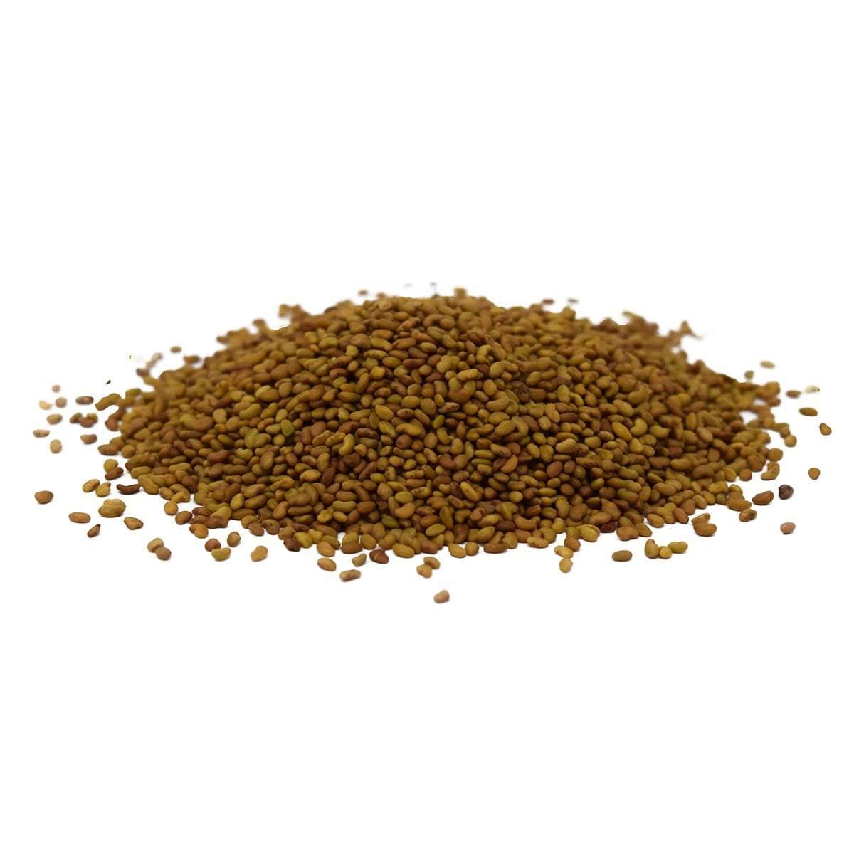 Alamo Alfalfa Seed - Raw - Certified – Hancock Seed