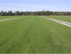 LaPrima Bermuda Grass Seed – hancockseed.com