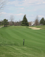 007 Creeping Bentgrass Seed – hancockseed.com