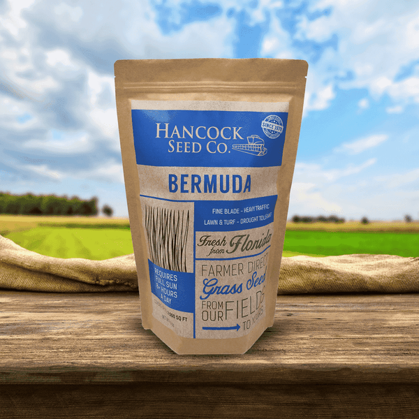 Hancock's Common Bermuda Spring & Summer Grass Seed Mix – hancockseed.com