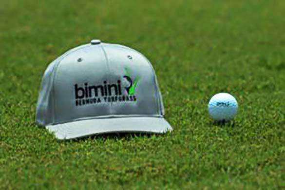 Bimini Bermuda Lawn Plugs – Hancock Seed