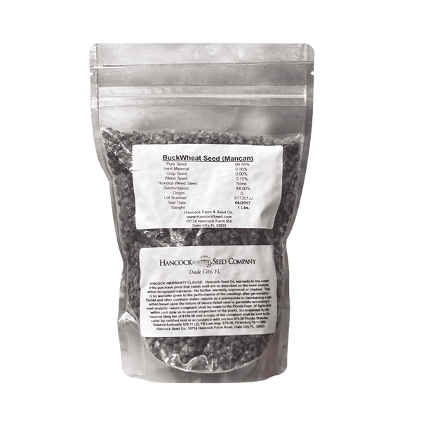 Buckwheat Seed | Hancock Seed – hancockseed.com