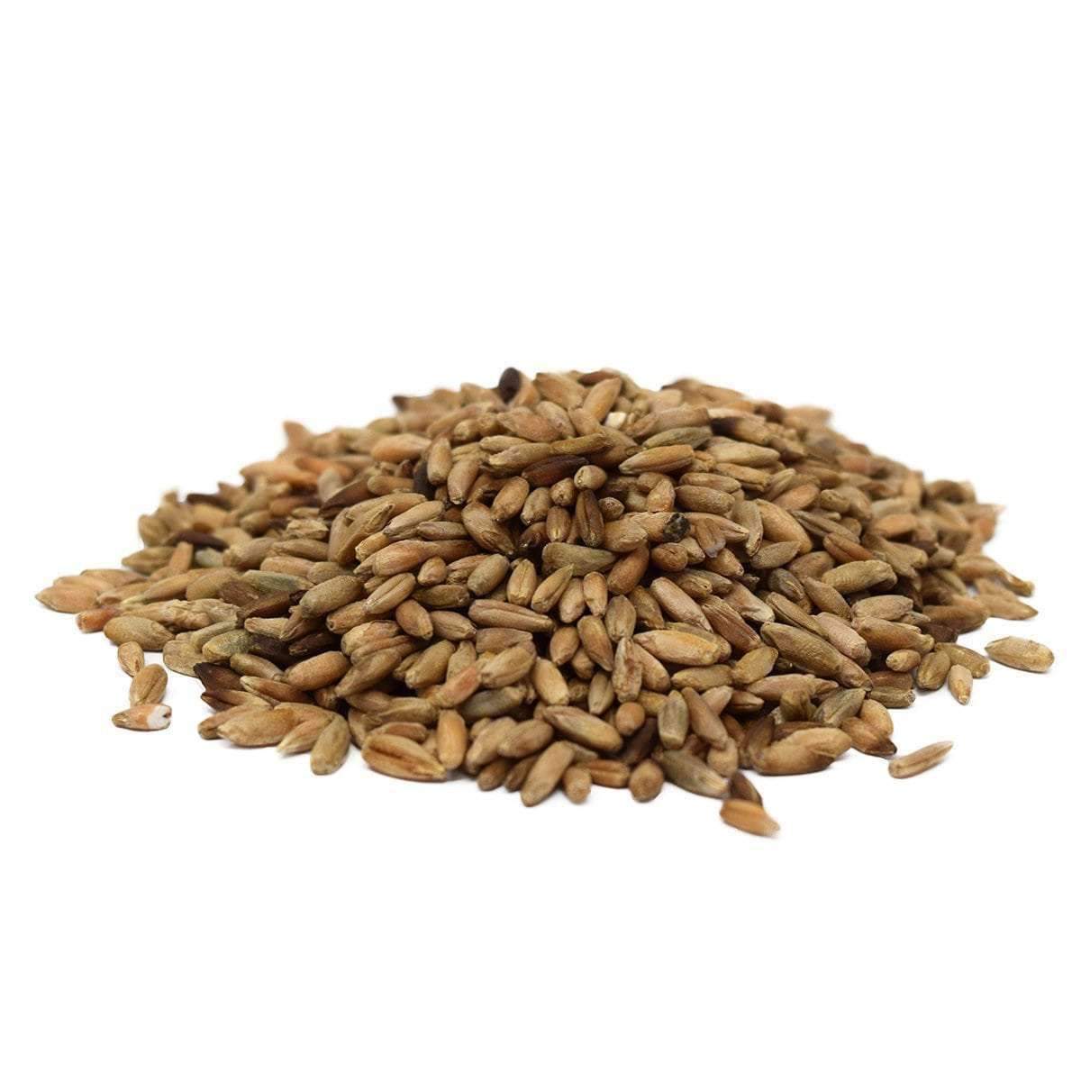 Florida 401 Grain Rye Seed – Hancock Seed