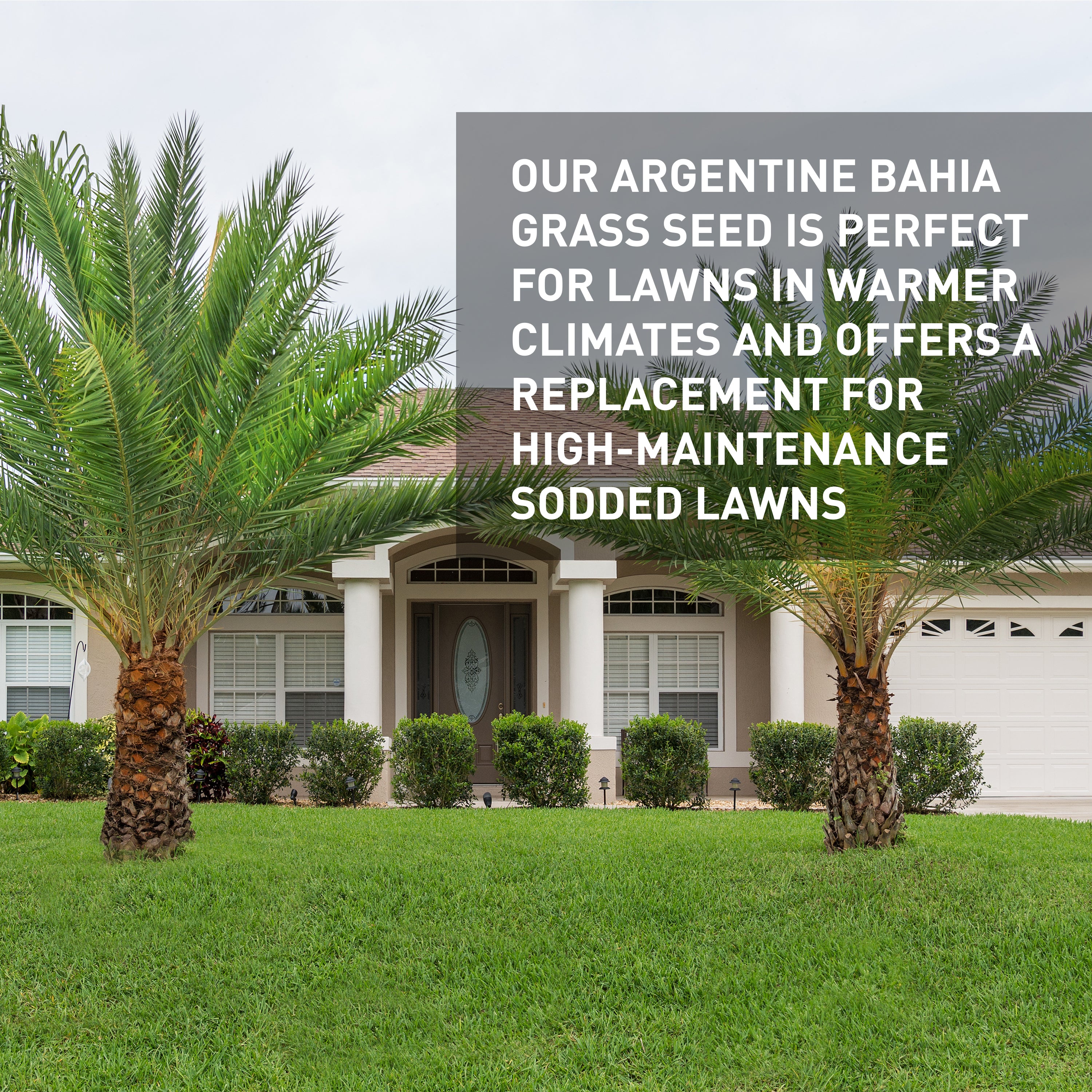 Hancock's Argentine Bahia Spring & Summer Grass Seed Mix – hancockseed.com