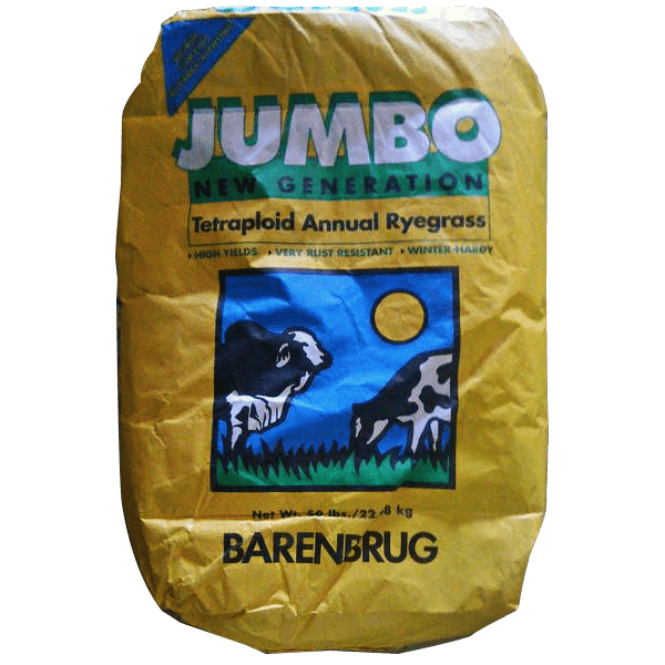 Jumbo Annual Ryegrass Seed – Hancock Seed