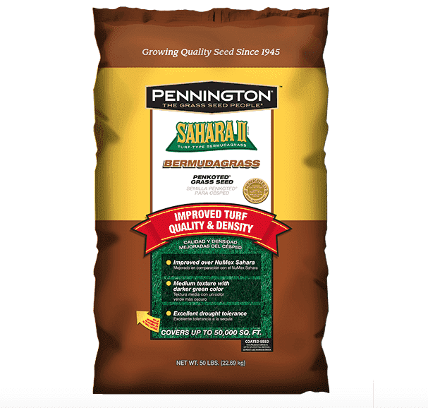 Sahara II Bermuda Grass Seed – Hancock Seed