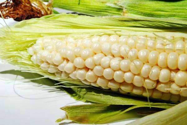 white corn seeds