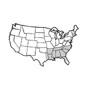 Native Grass Seed | Forage, Restoration | Hancock Seed – hancockseed.com