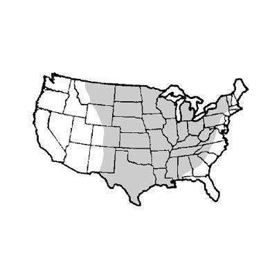 Native Grass Seed | Forage, Restoration | Hancock Seed – hancockseed.com