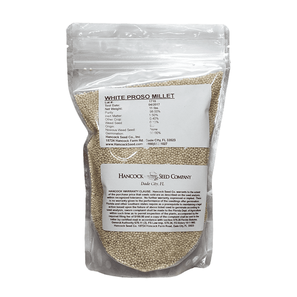 White Proso Millet Seed – hancockseed.com