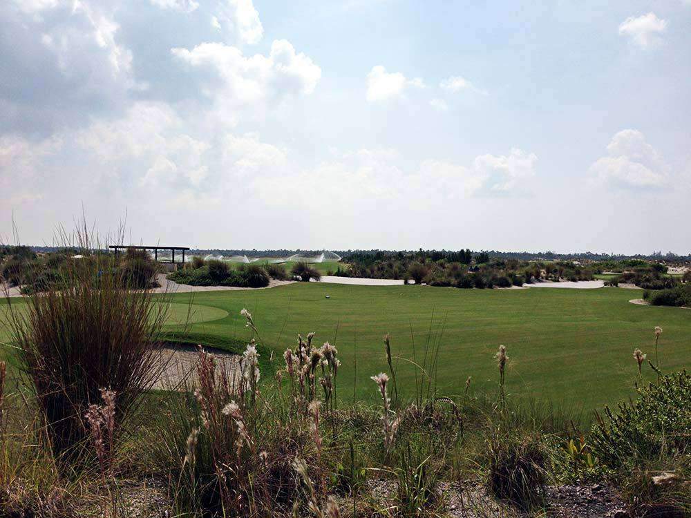 Royal Bengal Bermuda Grass Seed – hancockseed.com